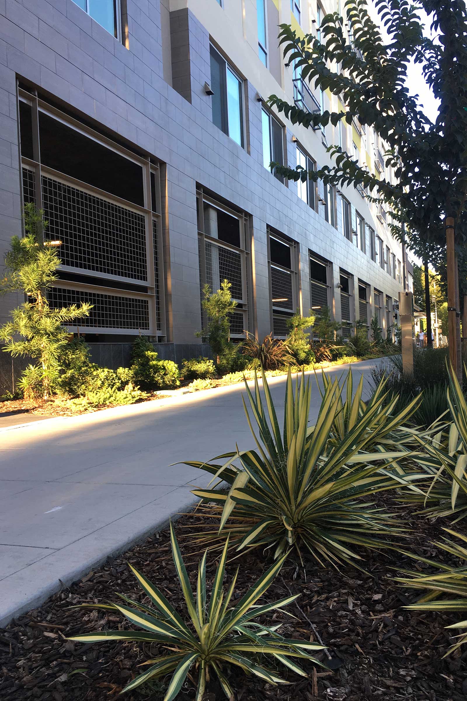 Eviva Midtown Apartments