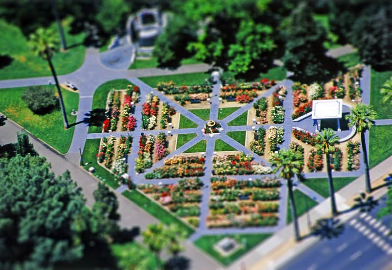 World Peace Rose Garden
